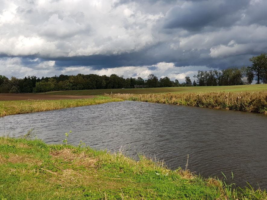 Naujienos - VšĮ Lietuvos žemės ūkio konsultavimo tarnyba